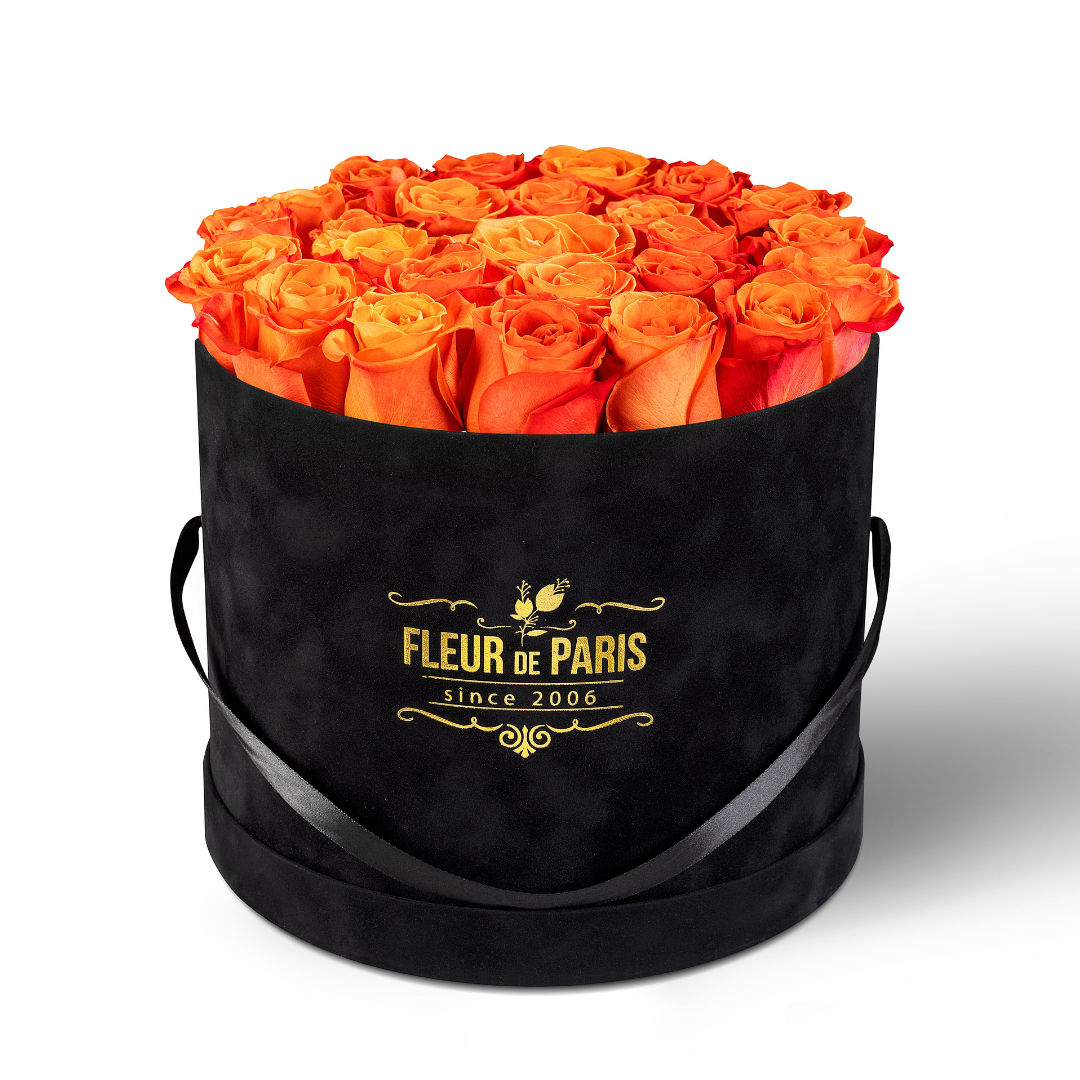 Mais Vendidos – FLEUR DE PARIS