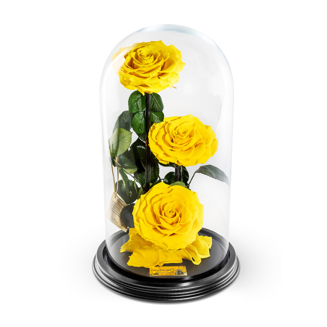 The Bella Rose | 3 Rosas Infinity – FLEUR DE PARIS