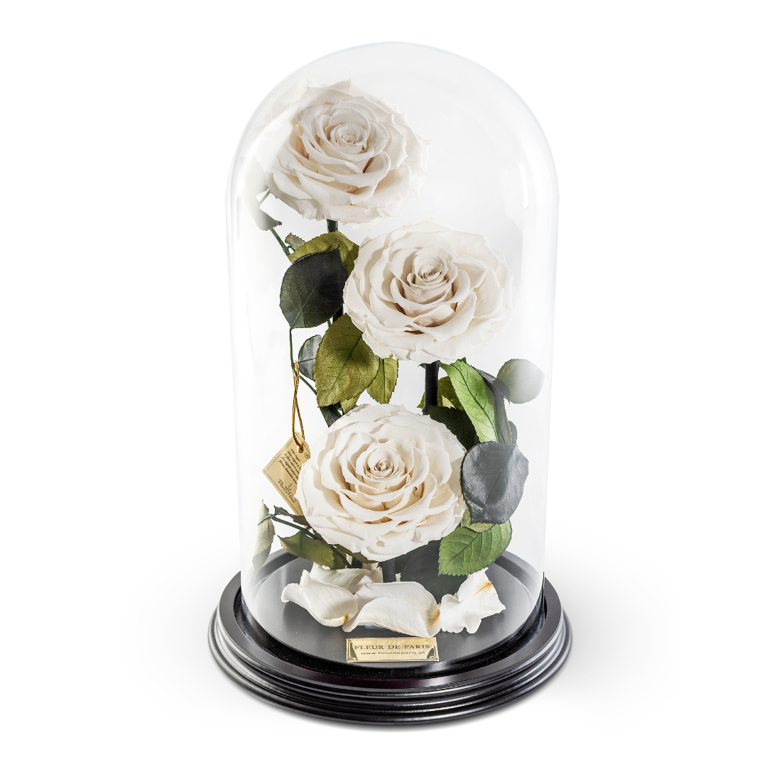The Bella Rose | 3 Rosas Infinity – FLEUR DE PARIS