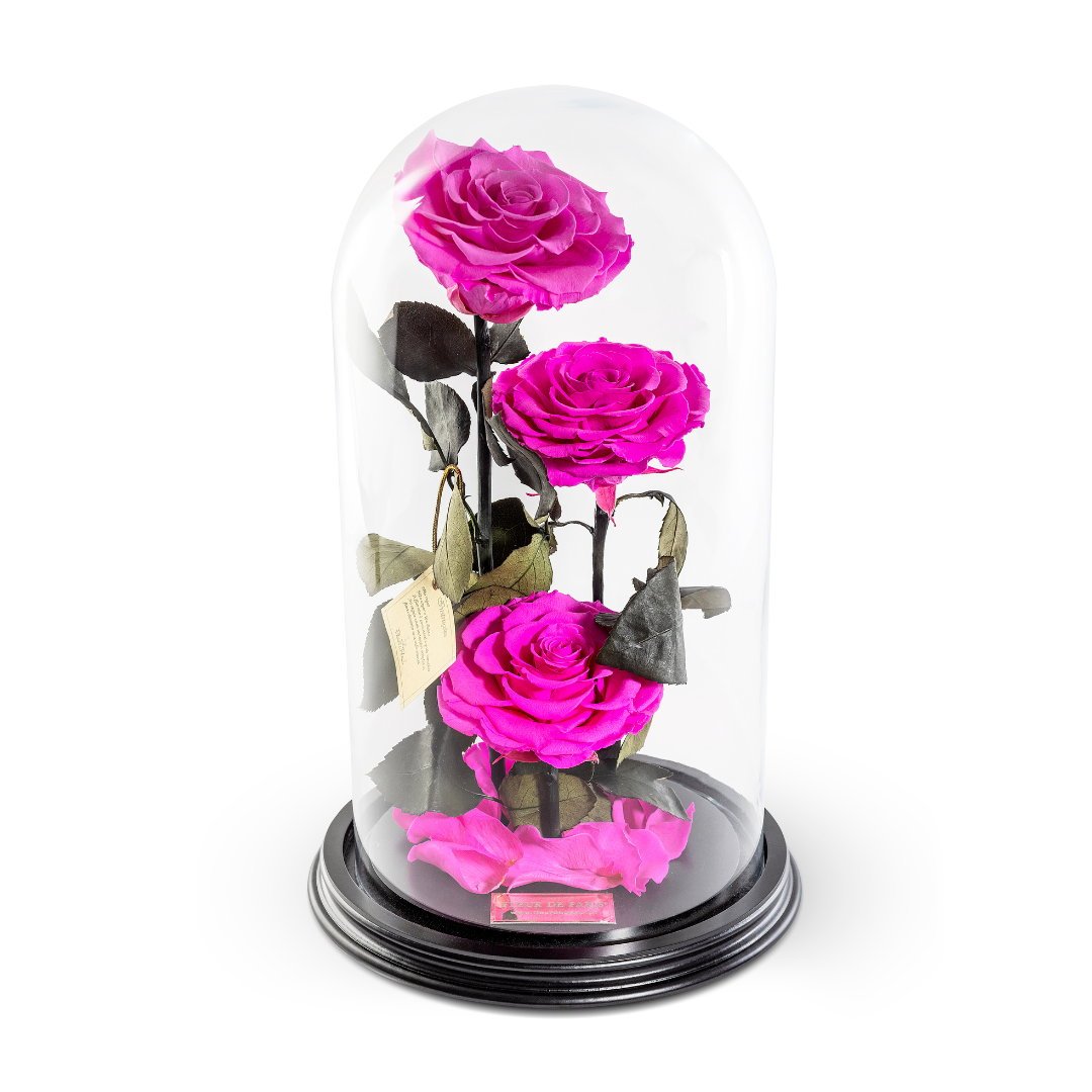 The Bella Rose | 3 Rosas Infinity – Fleur de Paris | Bouquets ...