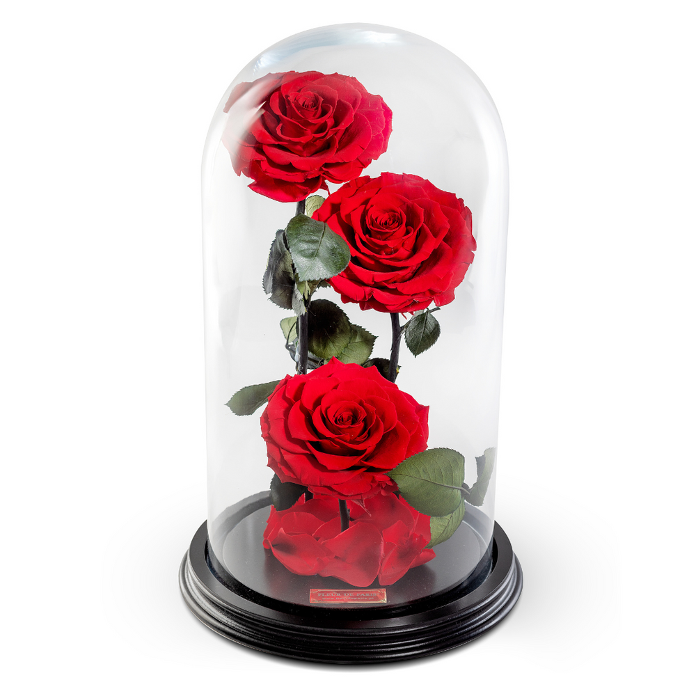 The Bella Rose | 3 Rosas Infinity – Fleur de Paris | Bouquets ...